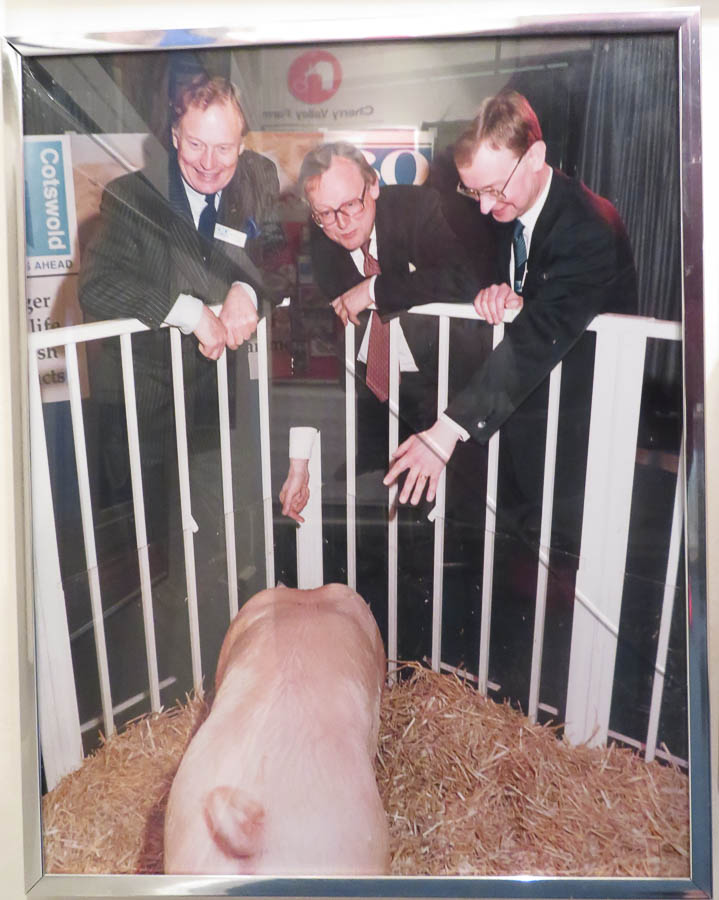 Cotswold Pig Development Company – Joseph Nickerson Memorial Gallery